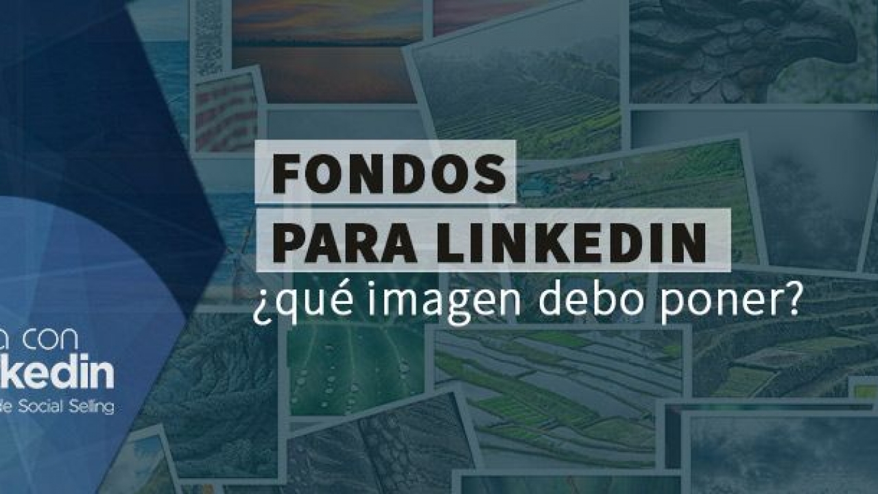 Mejores Fondos De Pantalla Con Frases Para Fondos De Pantalla Con